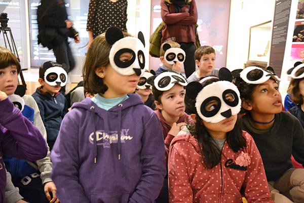 Un panda muy Chulín en el Museo de Ciencias Naturales - Plan Infantil